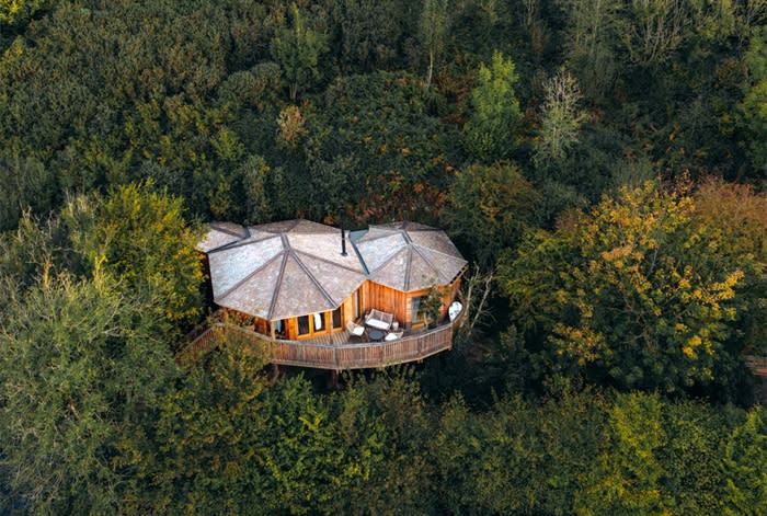Nest Treehouse - Sleepy Owl Devon - North Devon