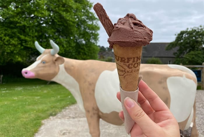 Surfing Cow Gelato
