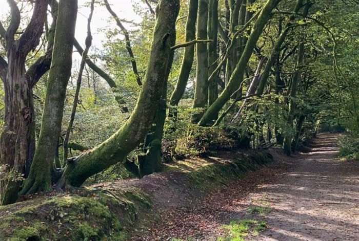 Whetstone Mining Walking Tour - Visit Devon