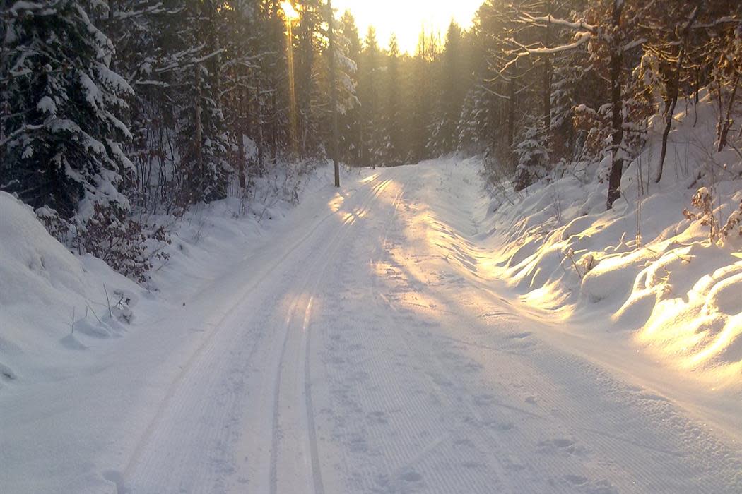 Well lit trail at Birkenlund in Arendal - Visit Sørlandet