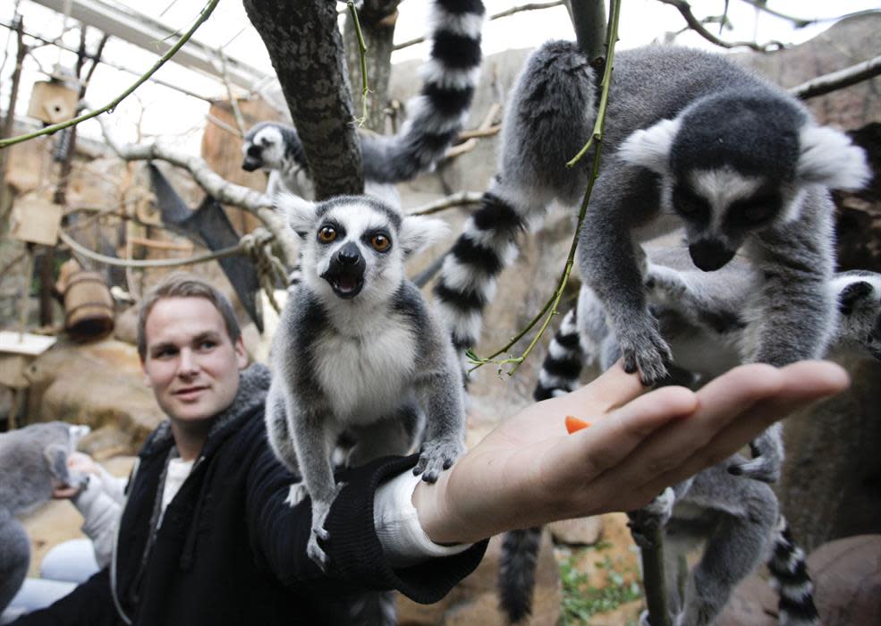 Dyreparken Event - Visit Sørlandet
