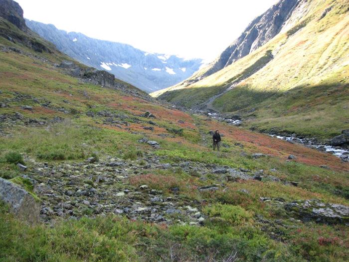 Tur til Fresvik-Jordalen - opplev verdsarvparken! - Visit Sognefjord