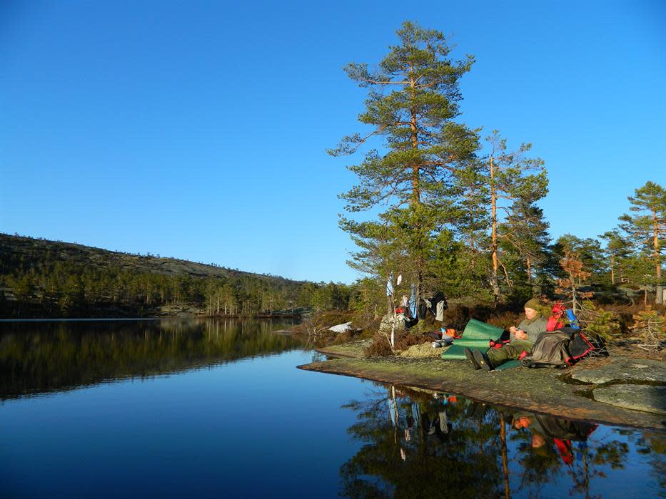 Gjerstad Statskog - Visit Sørlandet