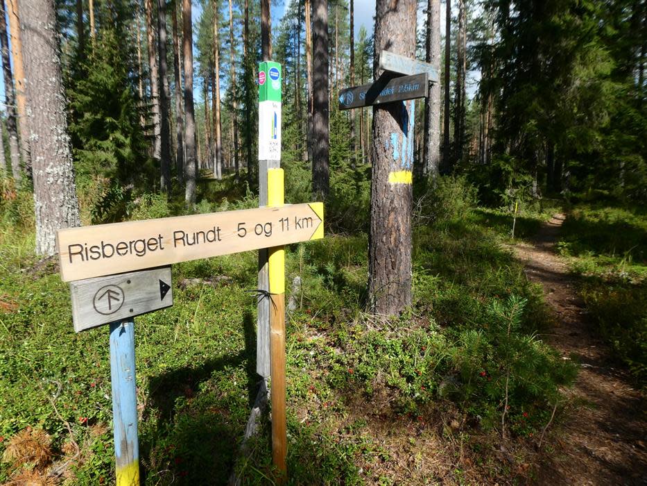 Risberget rundt (5 og 11 km) - Visit Øst-Norge