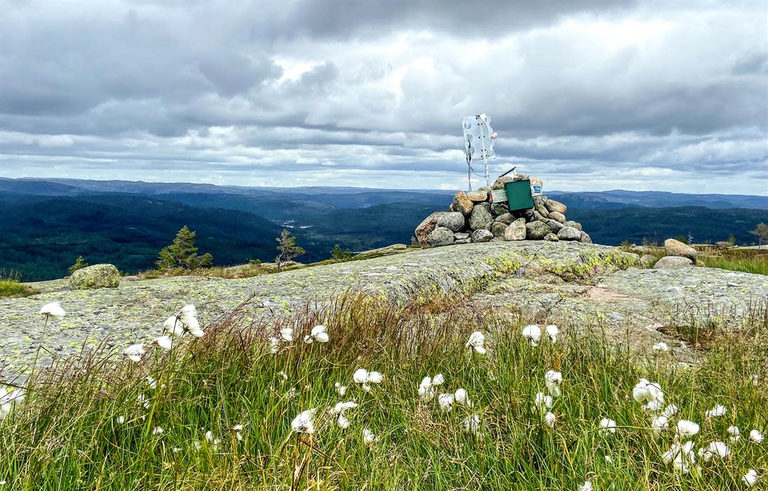 Snøfjell - tur/retur 6 km - Visit Sørlandet