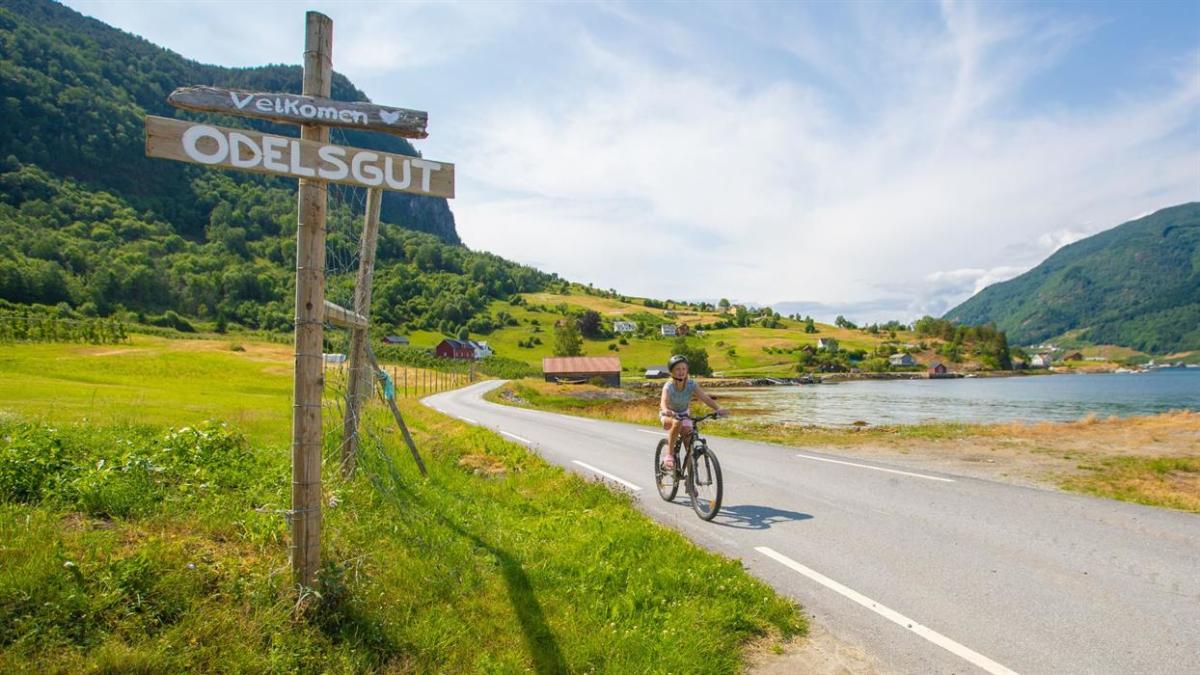 Fjordcruise & sykkel FjordX - Sognefjord - Visit Sognefjord