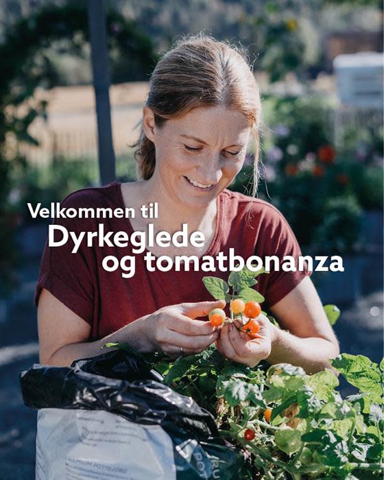 Dyrkeglede og tomatbonanza - Visit Sørlandet