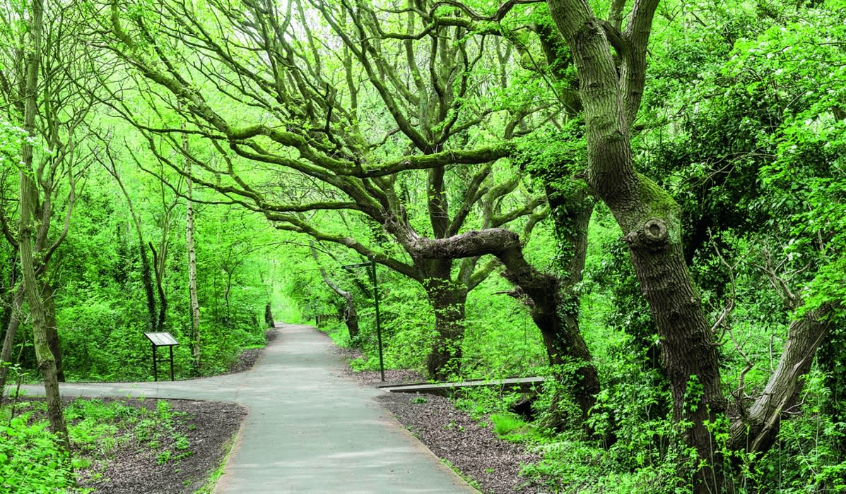 Halewood Park
