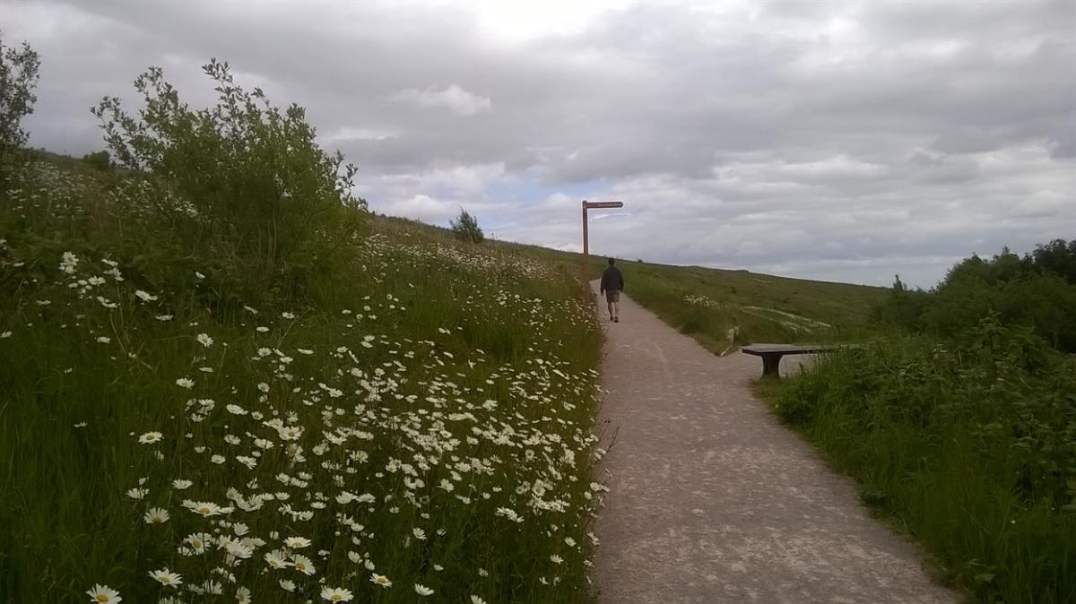 Port Sunlight River Park