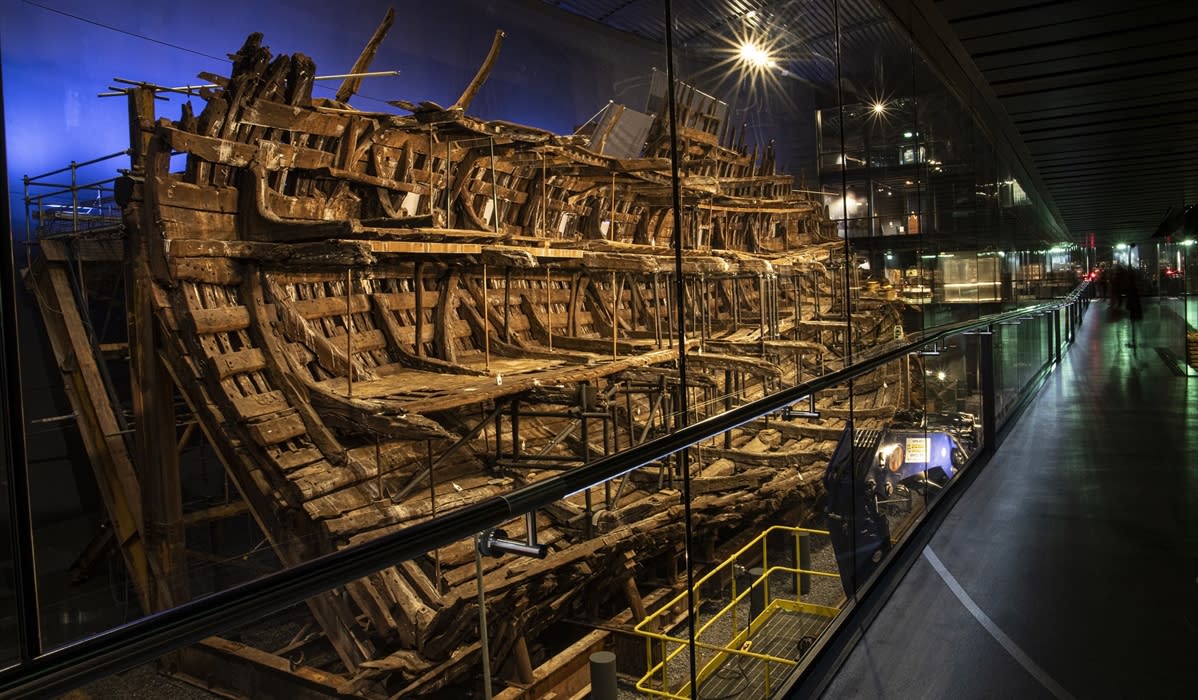 The Mary Rose