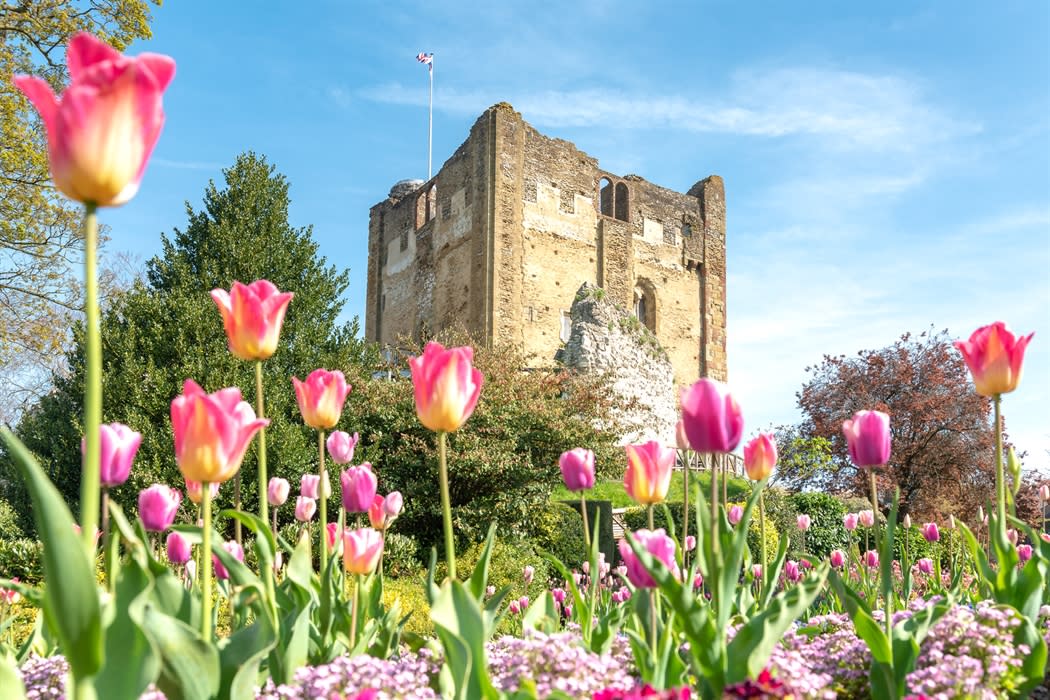 Guildford Castle and Grounds - Visit Surrey