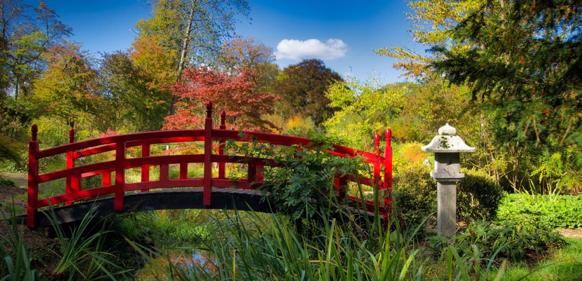 Gatton Park - Visit Surrey