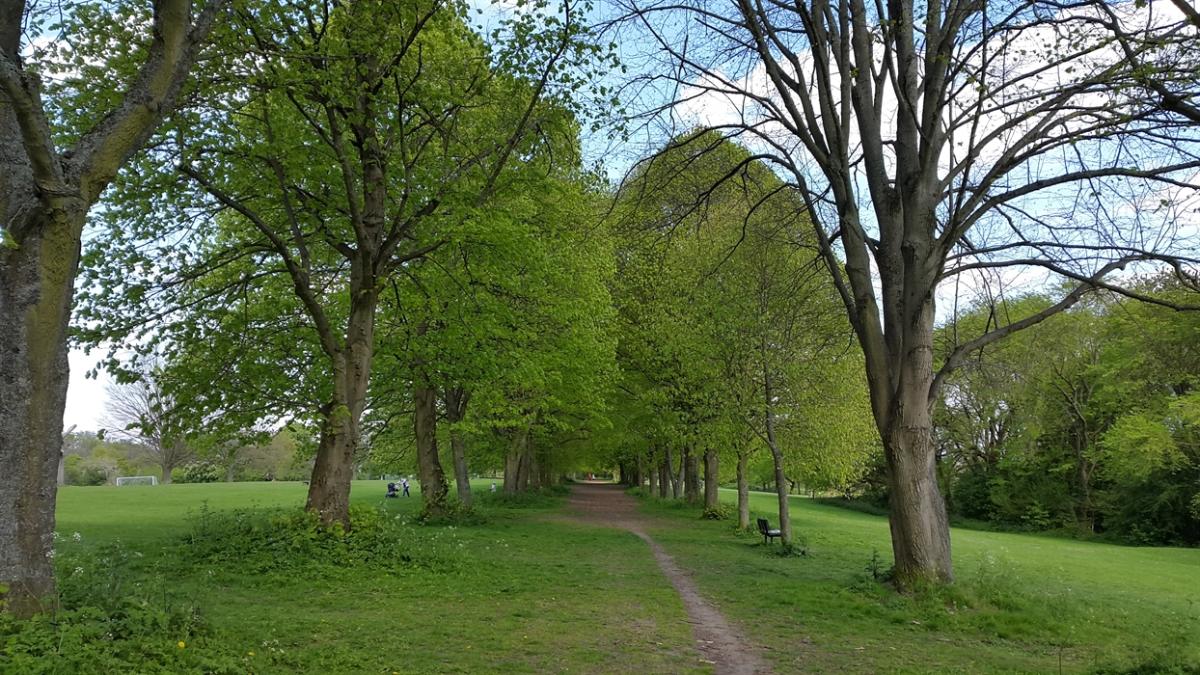 Farnham Park - Visit Surrey