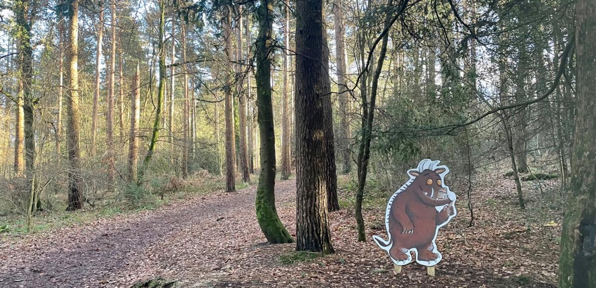 Alice Holt Forest - Visit Surrey