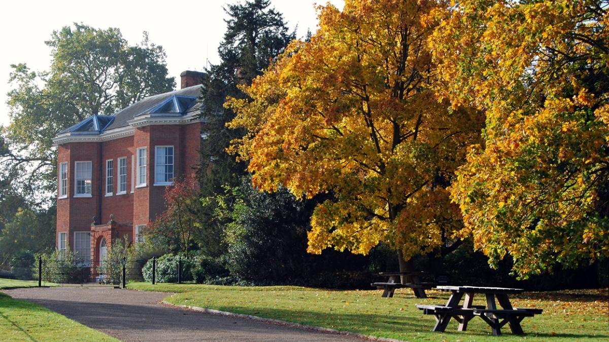 Hatchlands Park National Trust - Visit Surrey