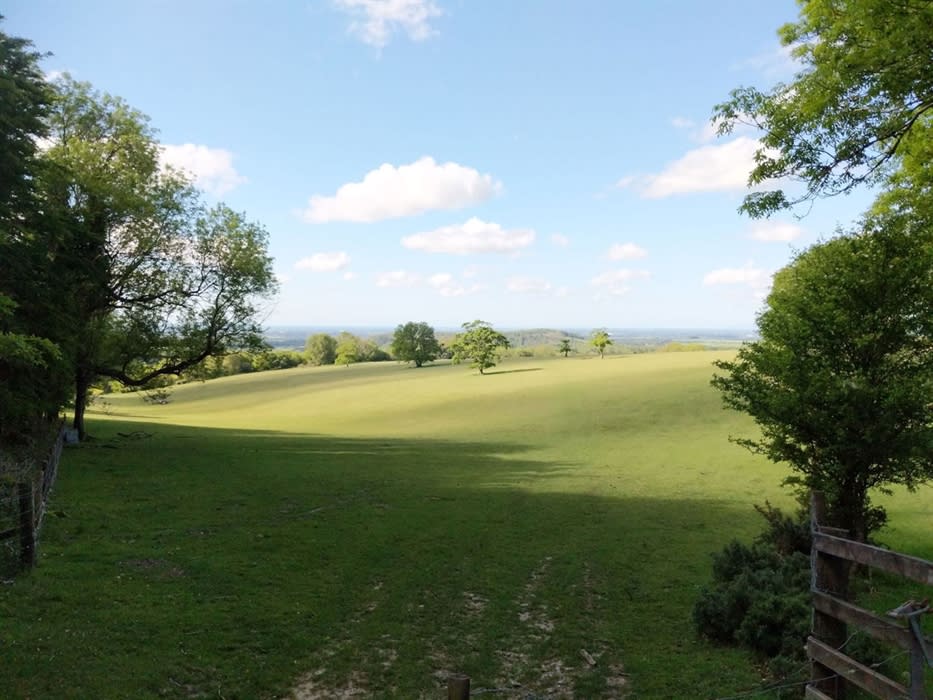 Slindon Estate and Stane Street