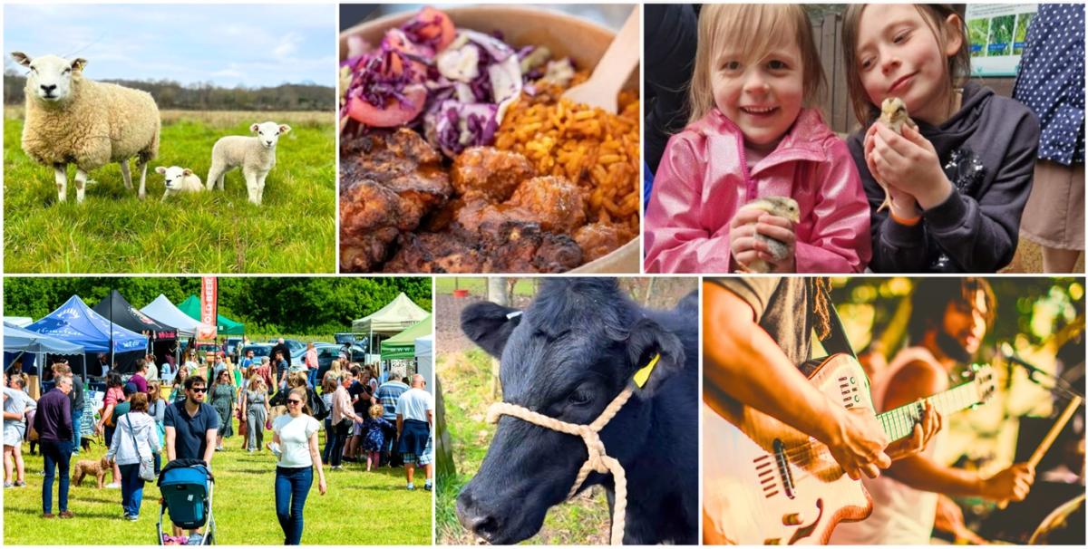 The Country Fair at Merrist Wood 2026 - Visit Surrey
