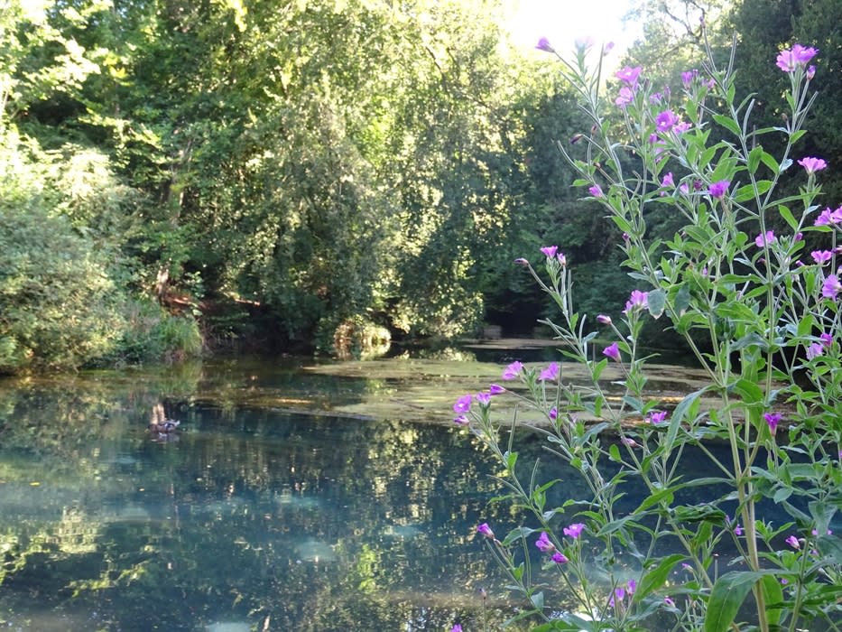 Silent Pool - Visit Surrey