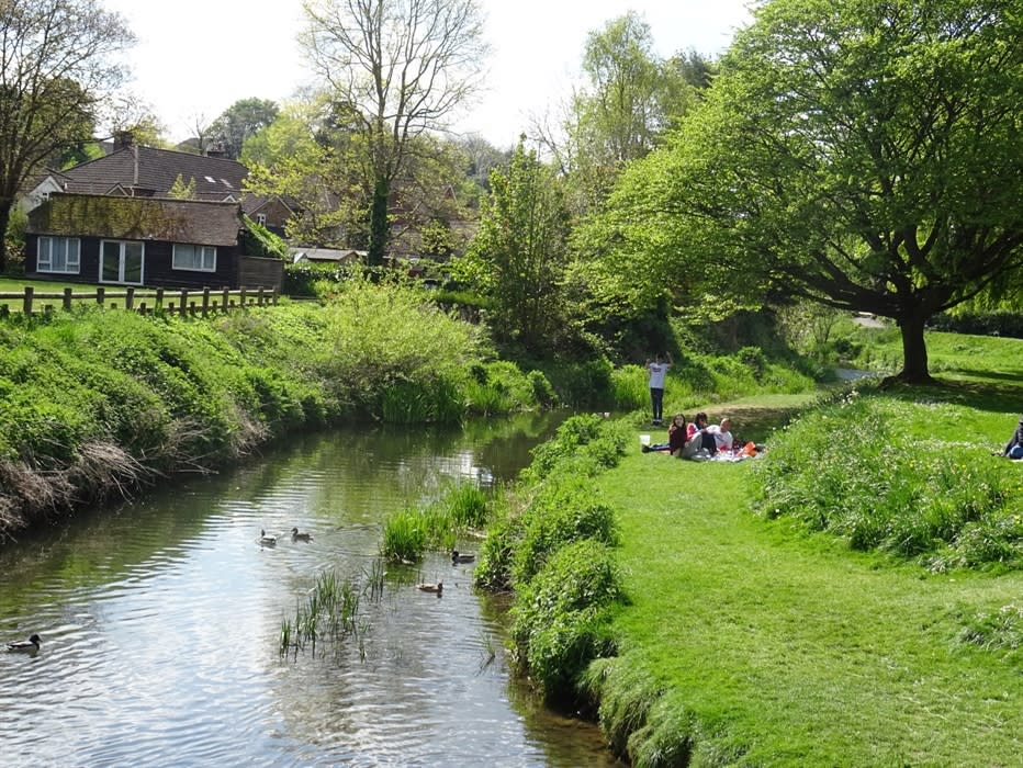 Gostrey Meadow - Visit Surrey