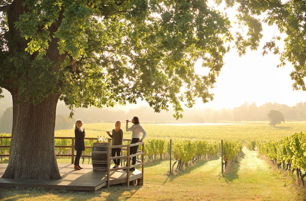 Denbies Wine Estate - Visit Surrey