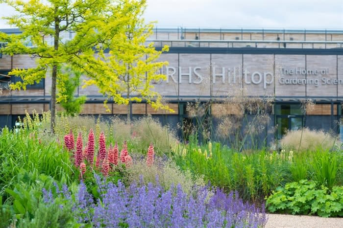 RHS Garden Wisley - Visit Surrey
