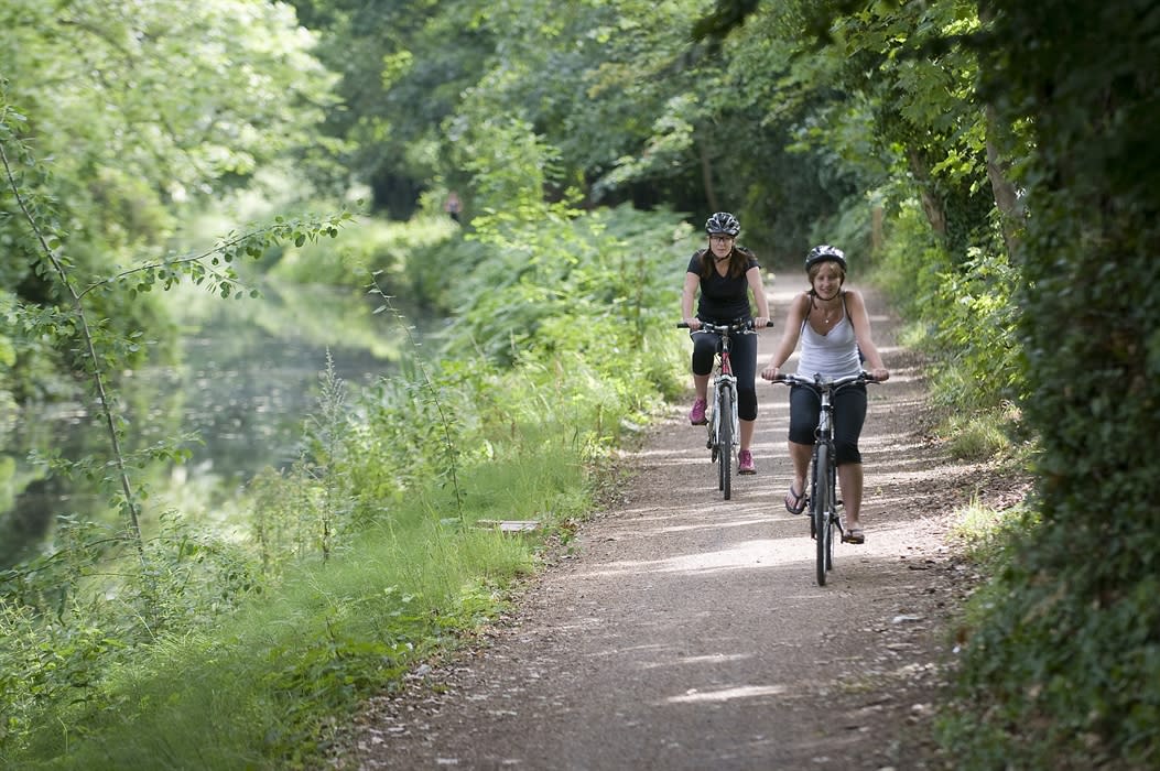 Horsell Common - Visit Surrey