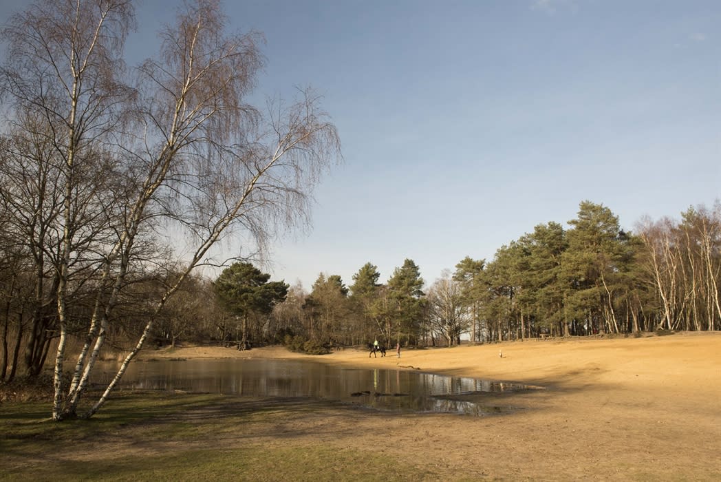 Horsell - Visit Surrey