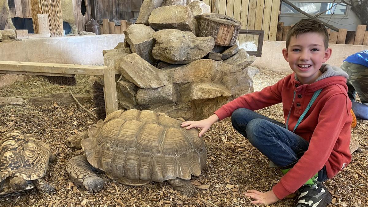 Merrist Wood Events - Visit Surrey