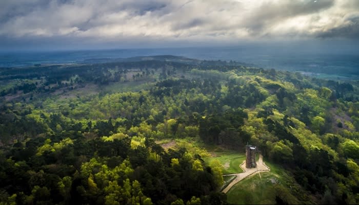 The Surrey Hills National Landscape - Visit Surrey