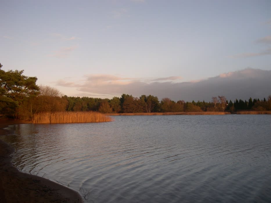 Frensham Little Pond - Visit Surrey