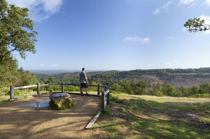 Hindhead Commons and the Devil’s Punch Bowl - Visit Surrey