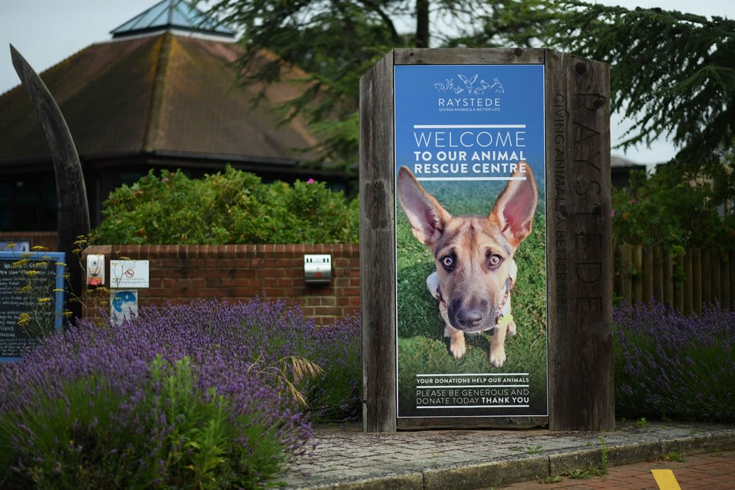 Raystede Centre for Animal Welfare