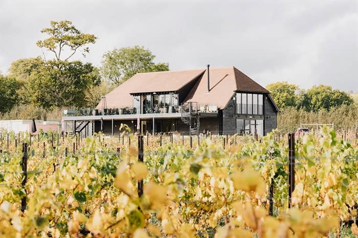 Kinsbrook Vineyard