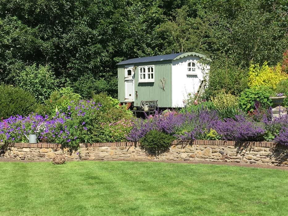 Shere Open Gardens 2025 - Visit Surrey