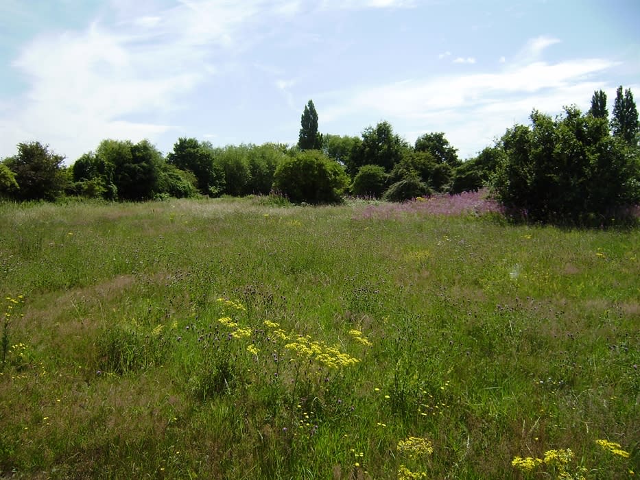 Shortwood Common - Visit Surrey