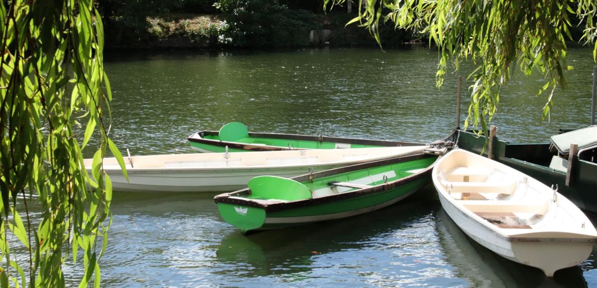 Little Green Boat Company - Visit Surrey