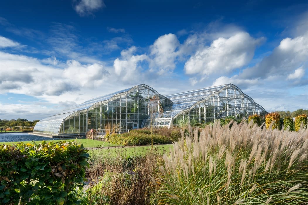 RHS Garden Wisley Cafe - Visit Surrey