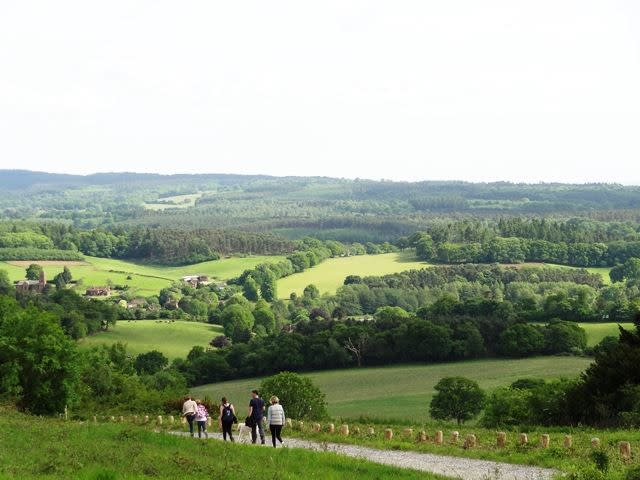 Newlands Corner - Visit Surrey