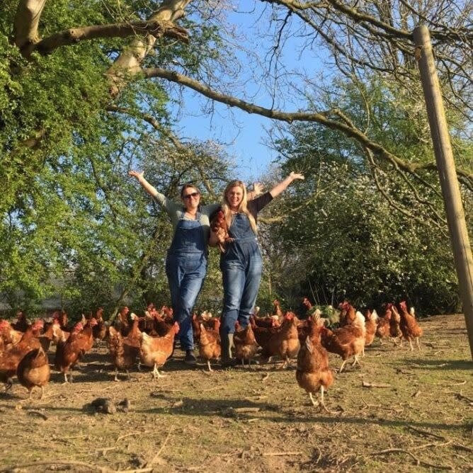 The Mac's Farm