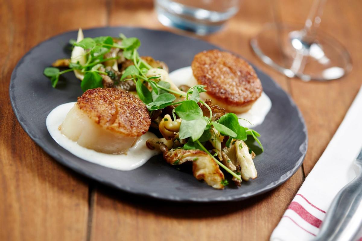 The Wilson | Celebration, FL | 53540