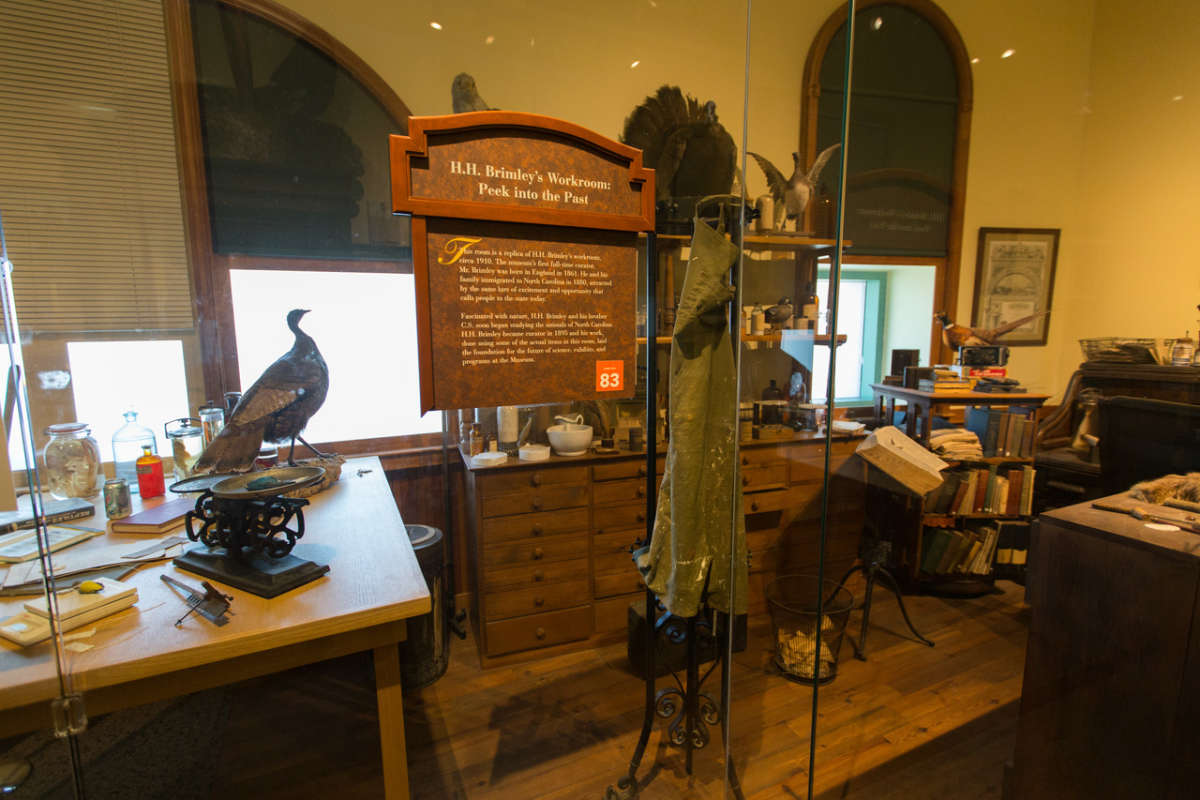 North Carolina Museum of Natural Sciences | Raleigh, NC 27601