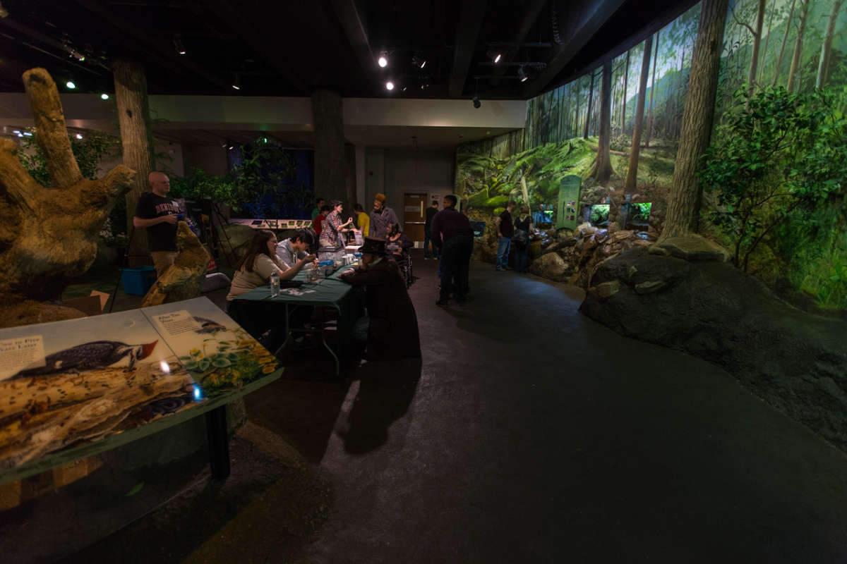 North Carolina Museum of Natural Sciences | Raleigh, NC 27601