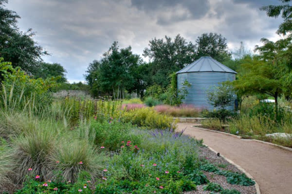 Lady Bird Johnson Wildflower Center | Austin, TX