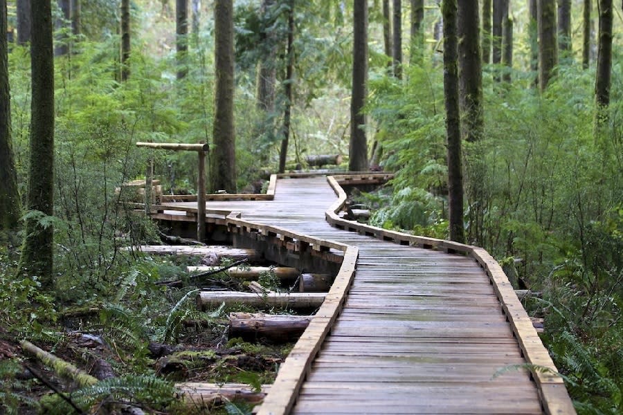 Grand Ridge Park | Issaquah, WA