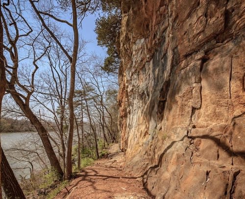 King's Bluff Rock Climbing