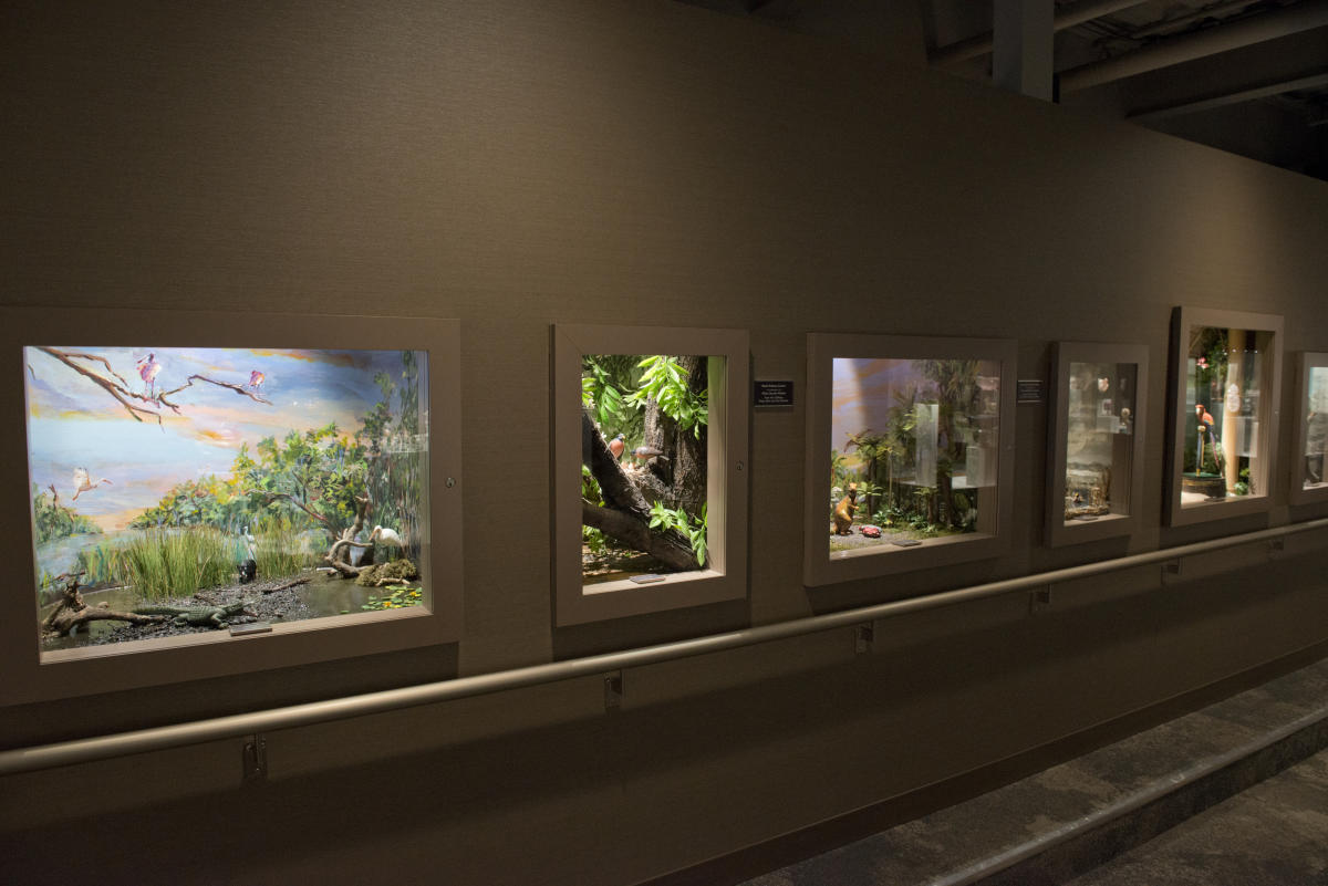 Lizzadro Museum of Lapidary Art