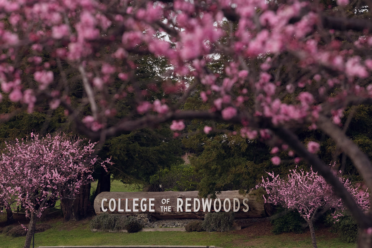 College of the Redwoods