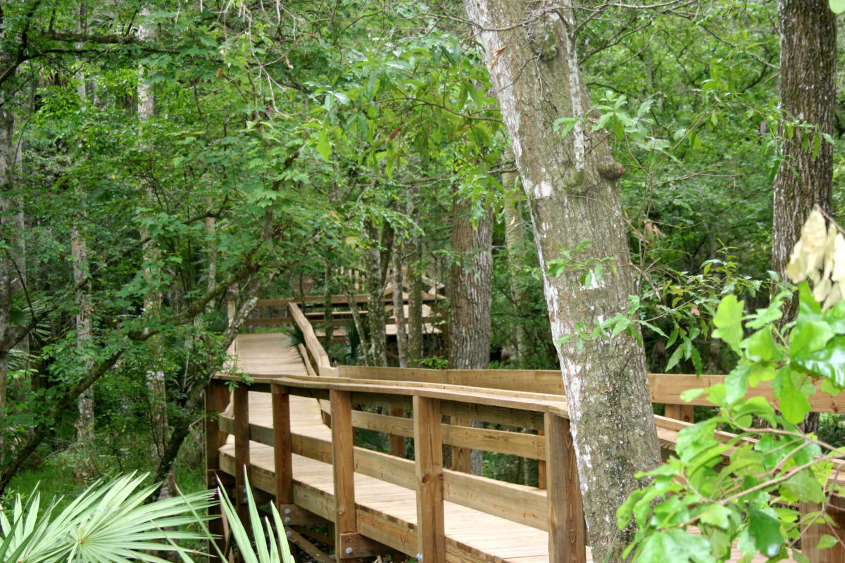 Princess Place Preserve | Palm Coast, FL 32137