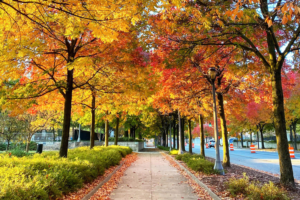 Headwaters Park