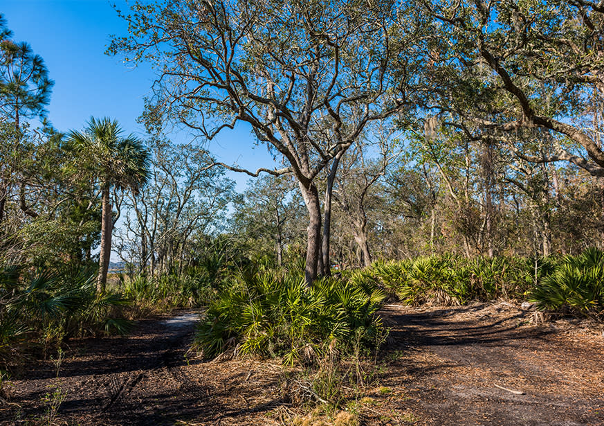 Off-Road Bike Trail | Brunswick, GA 31520